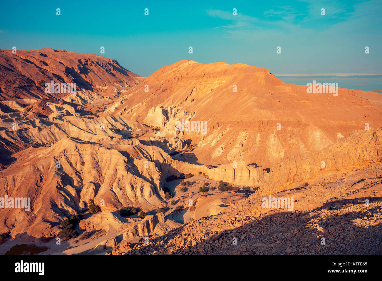 Negev region hi-res stock photography and images - Alamy