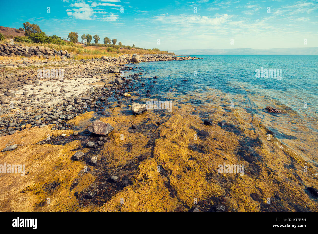 Tabgha Israel High Resolution Stock Photography and Images - Alamy
