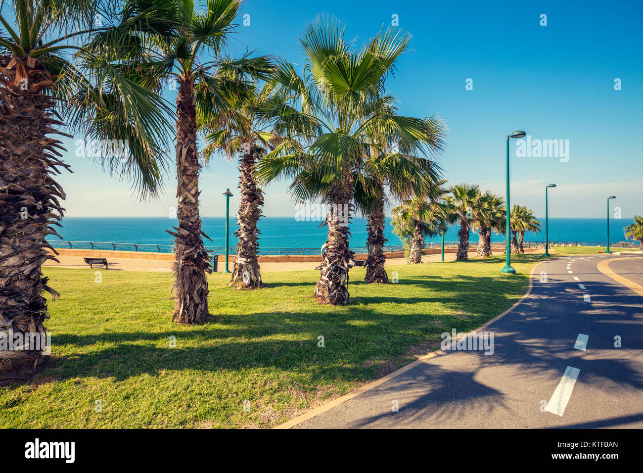 Palm tree promenade hi-res stock photography and images - Alamy