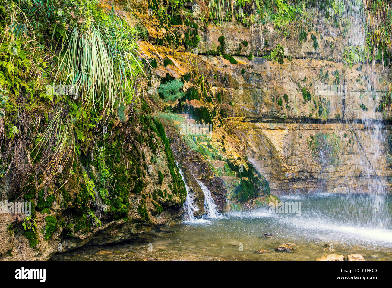 Oasis in desert. Ein Gedi nature reserve. David waterfall. Israel Stock ...