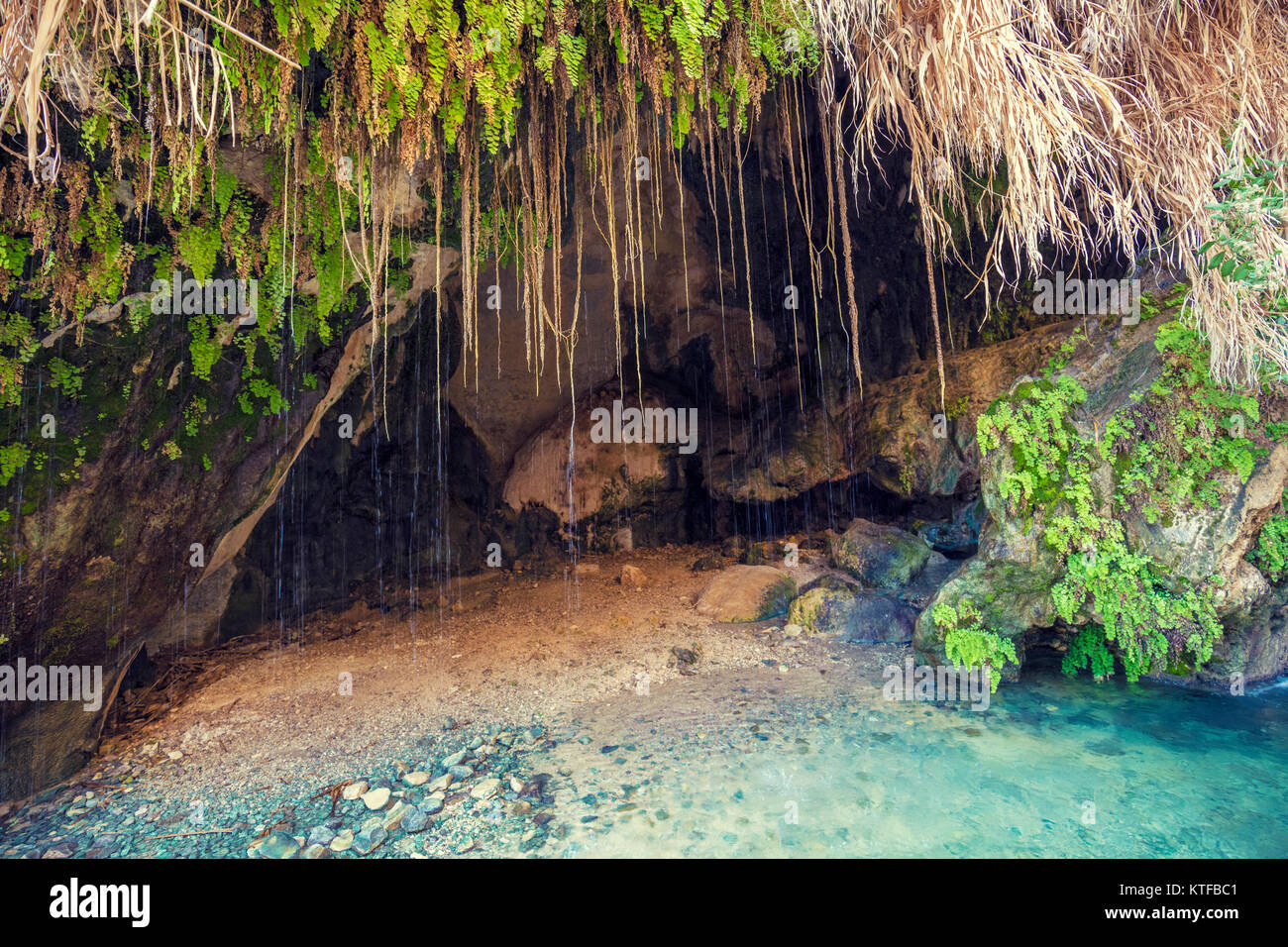 Oasis in desert. Ein Gedi nature reserve. Israel Stock Photo - Alamy