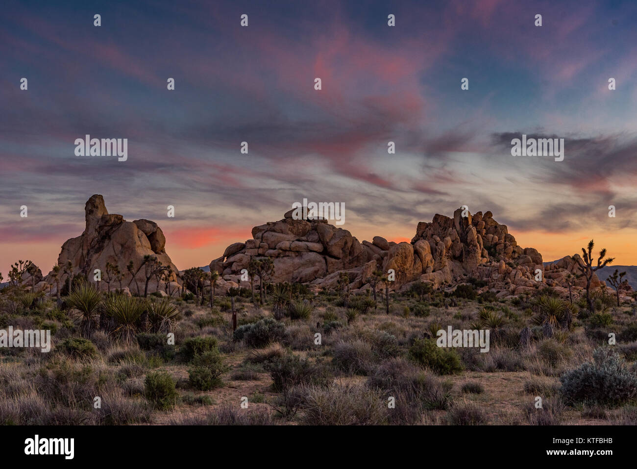 Subtle Sunset Over Climbing Boulders in Joshua Tree Stock Photo - Alamy