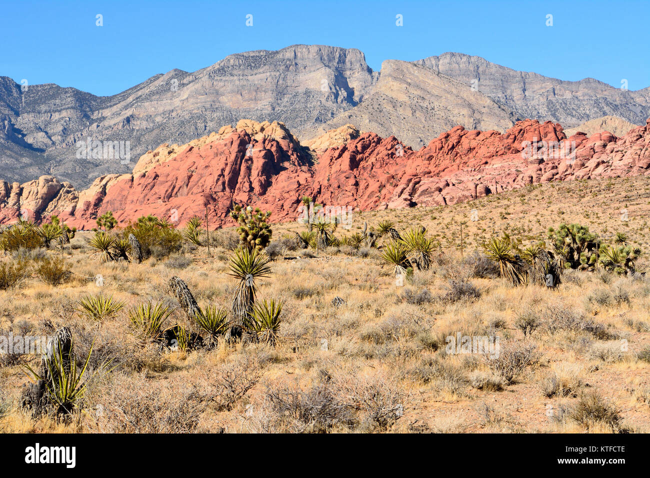 Steep, rugged red-rock escarpment of Red Rock Canyon rising in Nevada ...