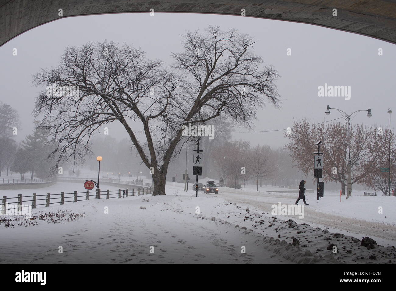 Snowy street scene, looking west along Queen Elizabth Dr., from under ...