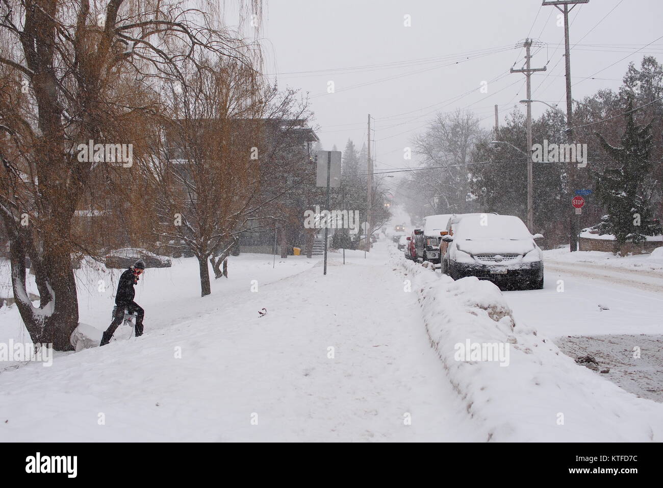 West willow street hi-res stock photography and images - Alamy