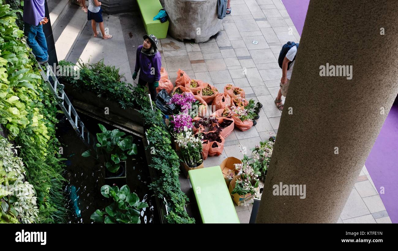 Workers gardeners decorating store front of a shopping mall with ...