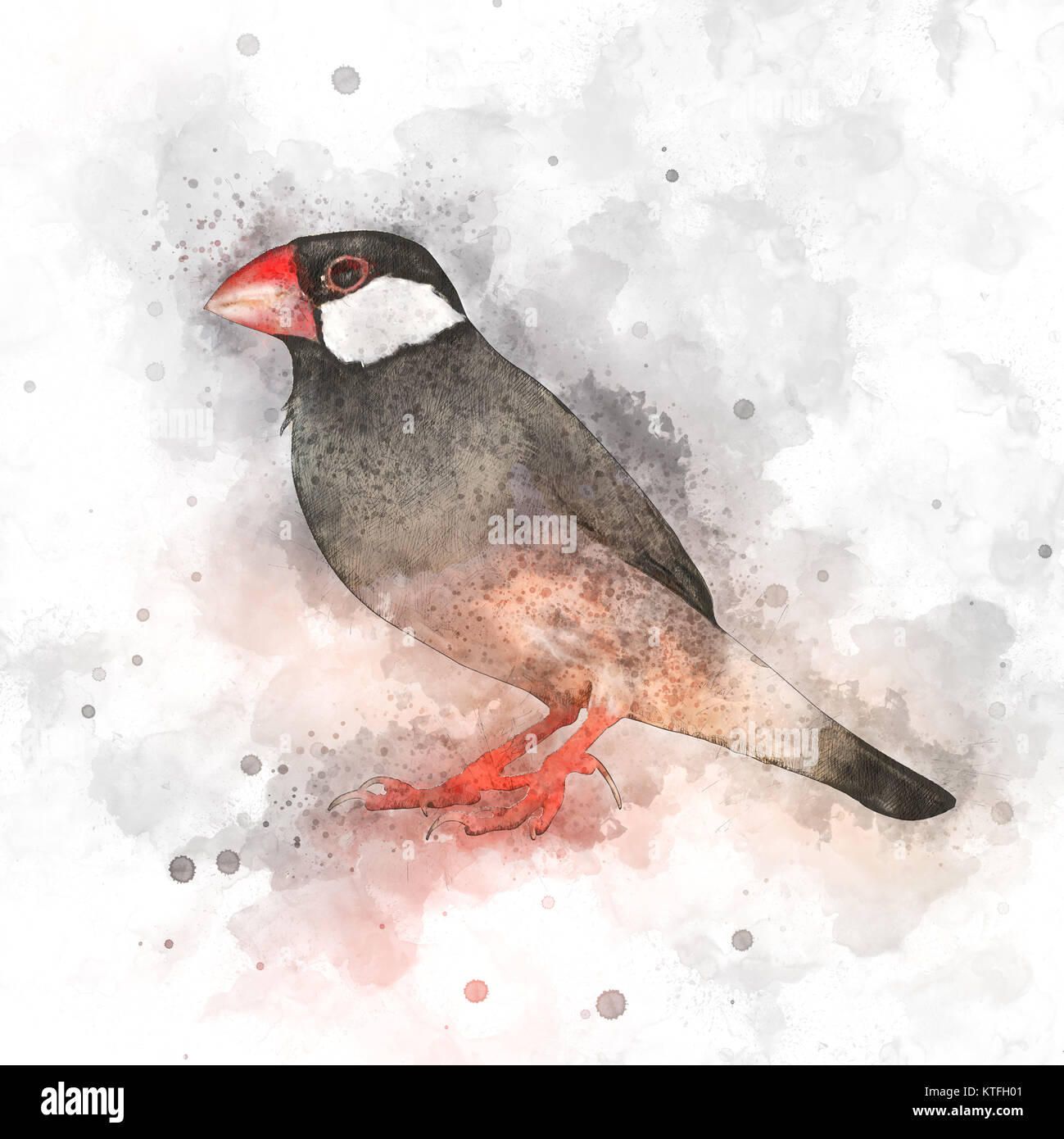 Digitally enhanced image hi-res stock photography and images - Alamy