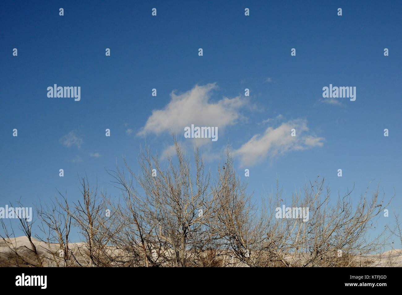 LEWISTON/IDAHO/USA 23.December 2017. Idaho weather ssun shine on ...