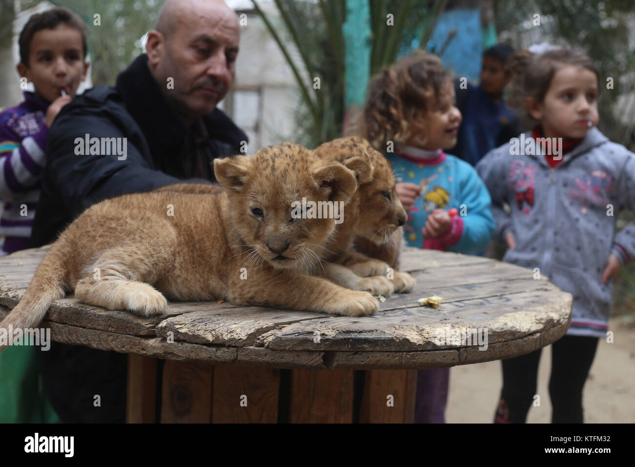Gaza City, The Gaza Strip, Palestine. 24th Dec, 2017. Palestinian ...