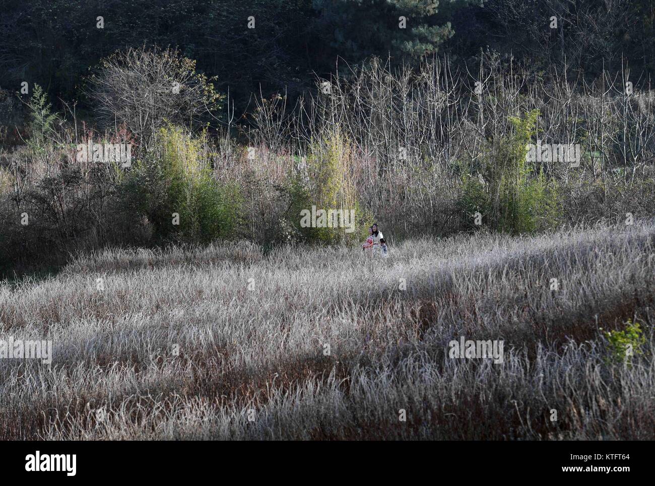 Qujing. 24th Dec, 2107. Photo taken on Dec. 24, 2107 shows the scenery ...