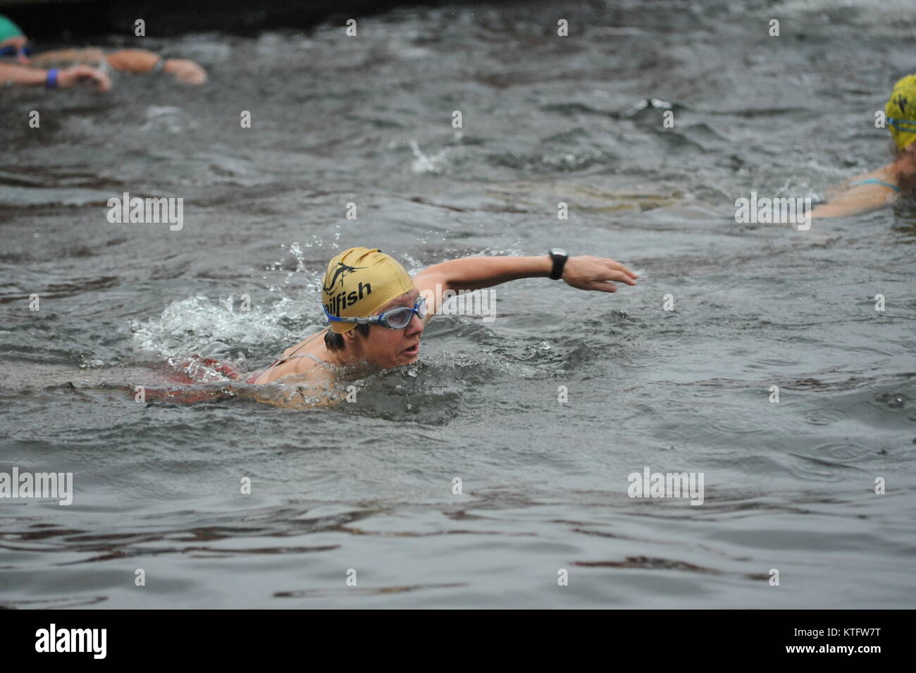 100 yard swimming race hi-res stock photography and images - Alamy