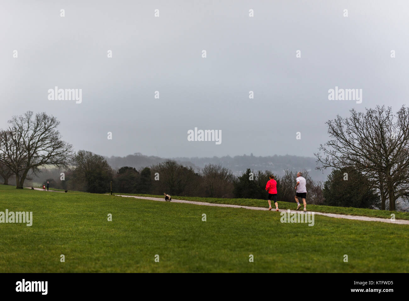 Riddlesdown common hi-res stock photography and images - Alamy