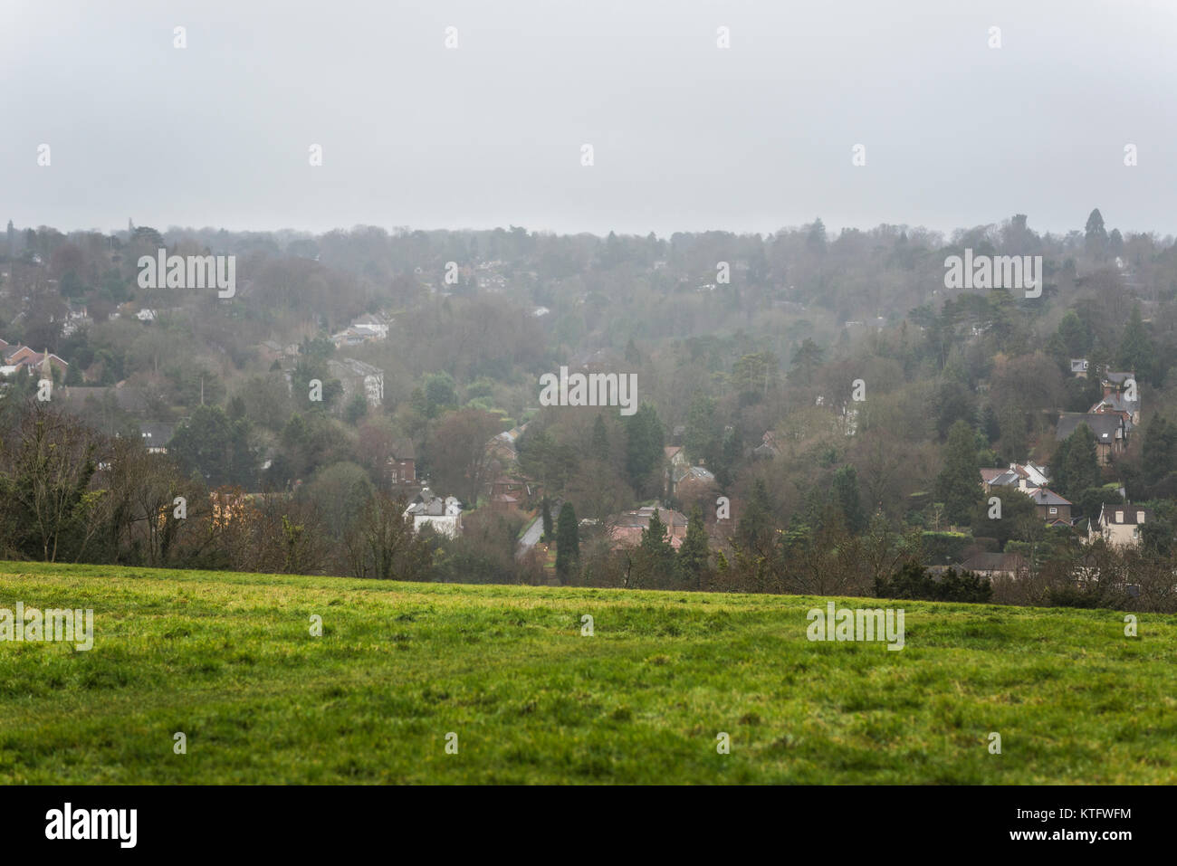 Riddlesdown common hi-res stock photography and images - Alamy