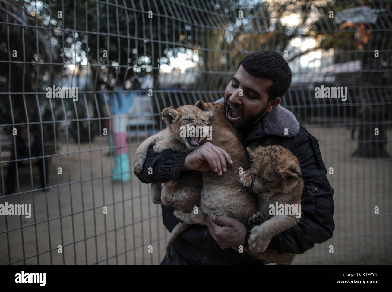 A Palestinian zookeeper carries three lion cubs at a zoo in Rafah ...