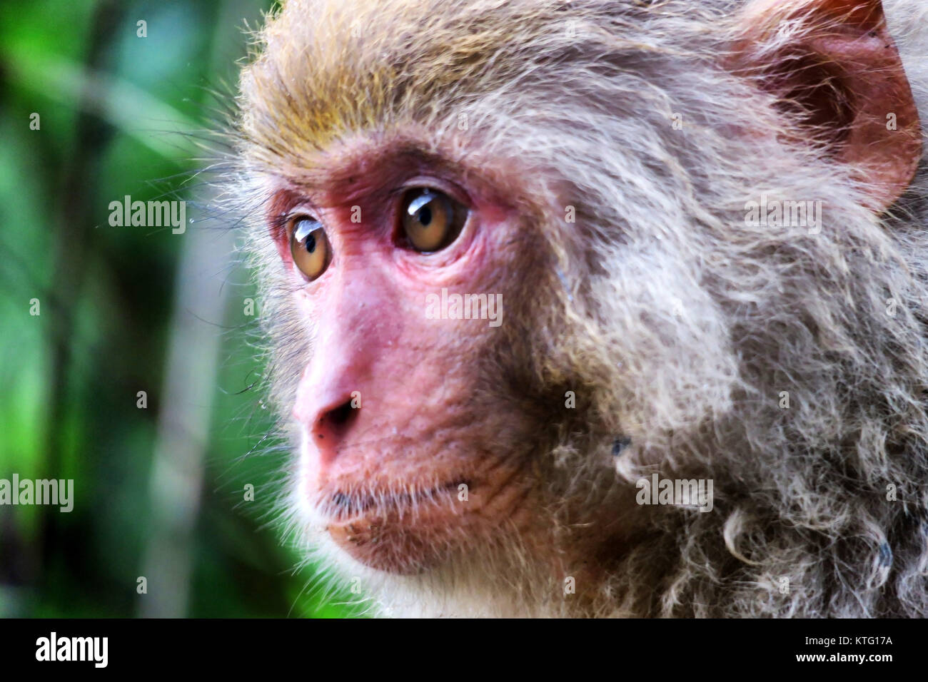Changzhi, Changzhi, China. 23rd Dec, 2017. Changzhi, CHINA-23rd ...
