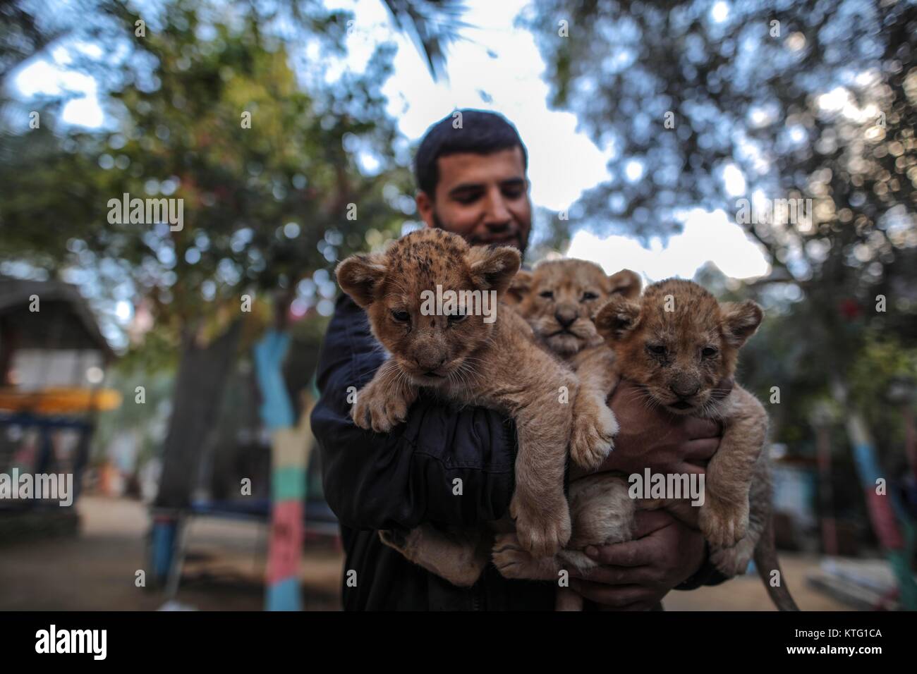 Gaza. 26th Dec, 2017. Ahmad Joma'a, a zoo owner holds two-month-old ...