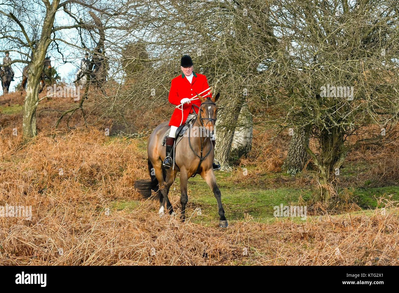 Drag hunting hampshire england hi-res stock photography and images - Alamy