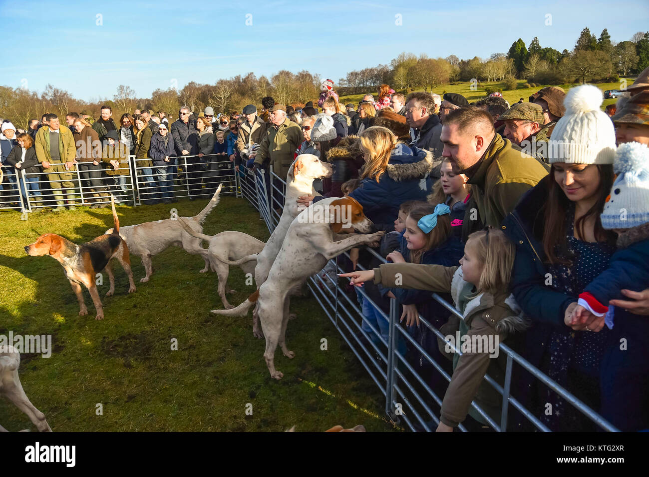 Graham hunt hi-res stock photography and images - Alamy