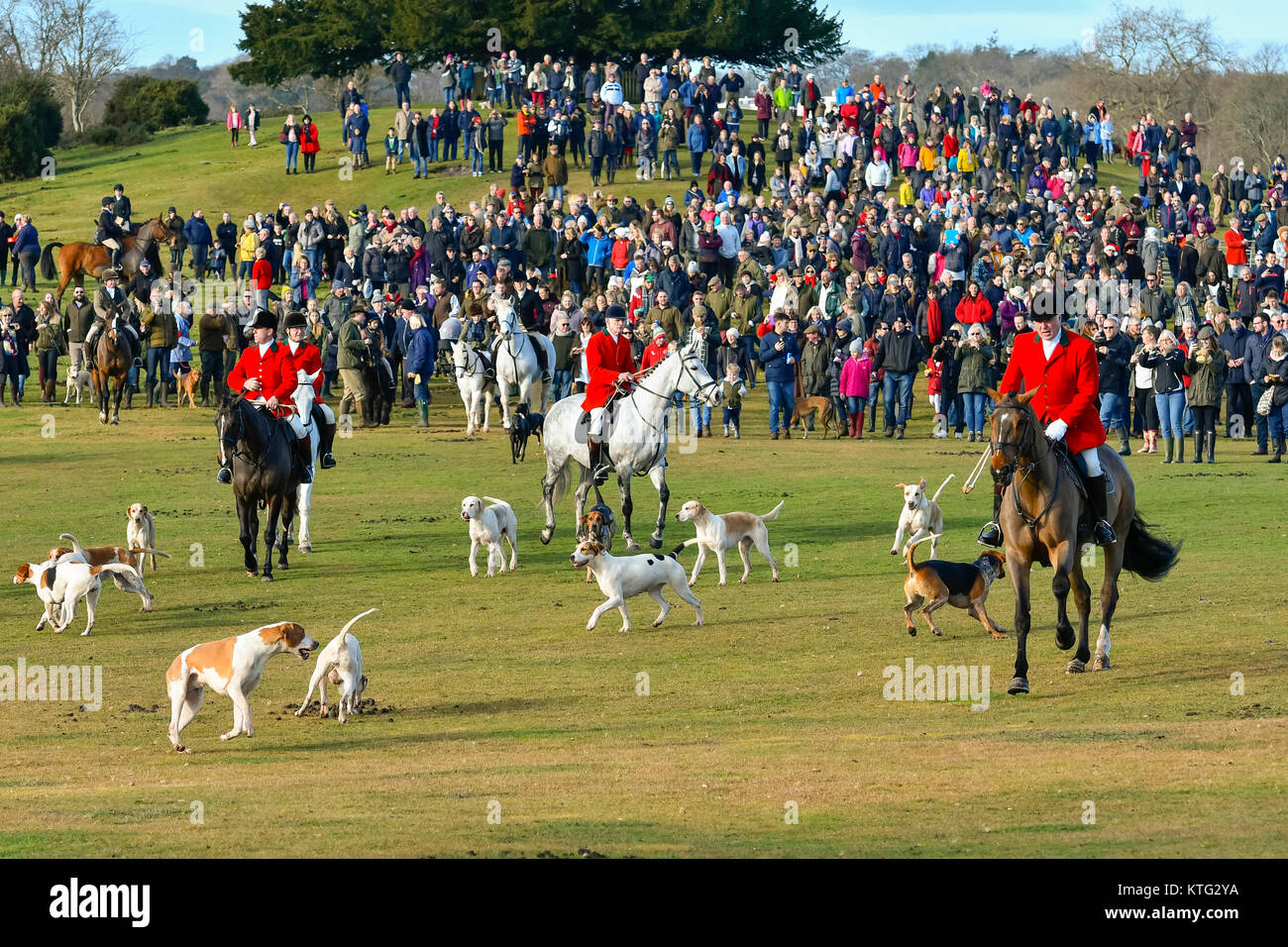 Drag hunting hampshire england hi-res stock photography and images - Alamy