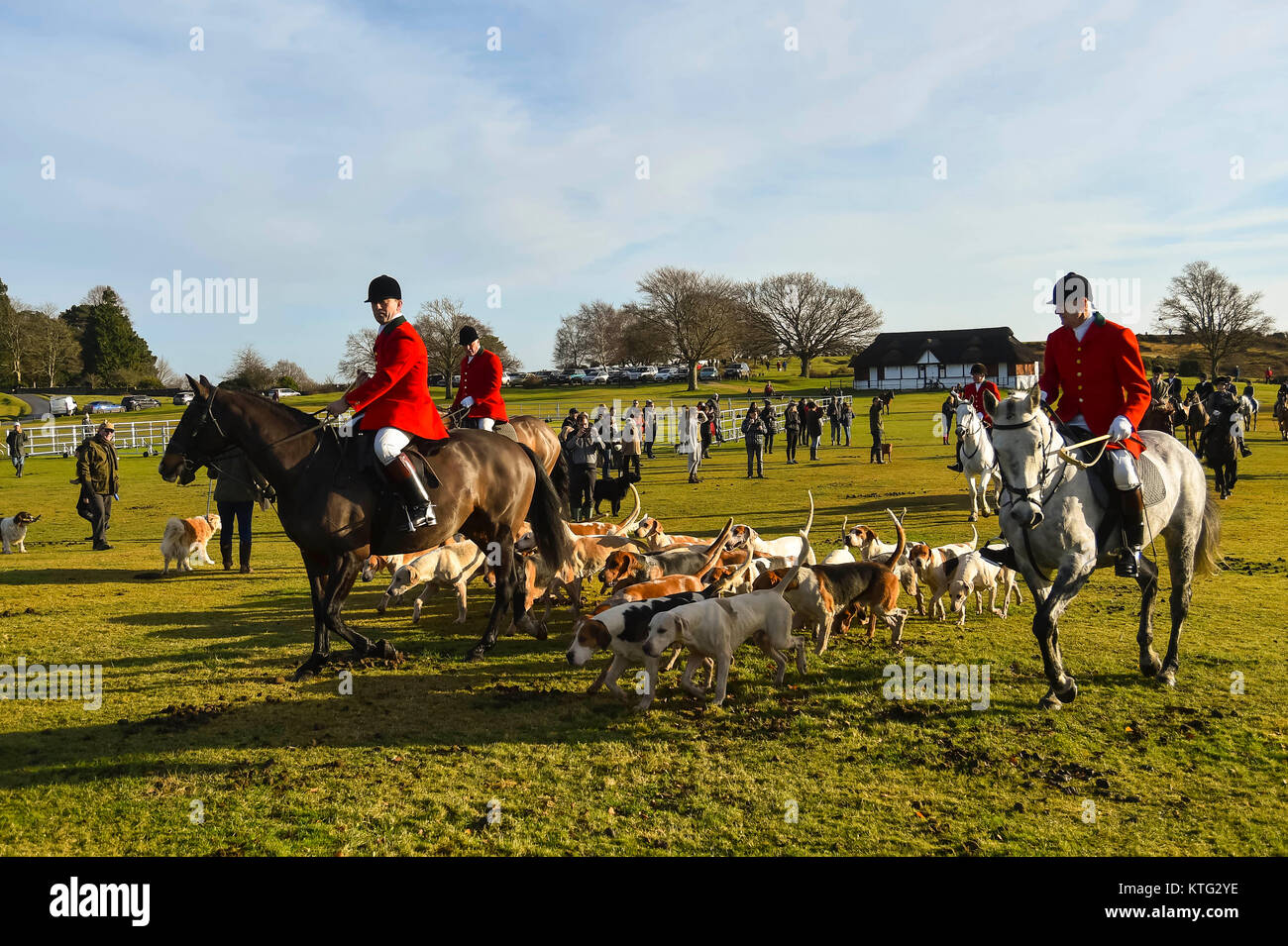 Hampshire hunt hounds hi-res stock photography and images - Alamy