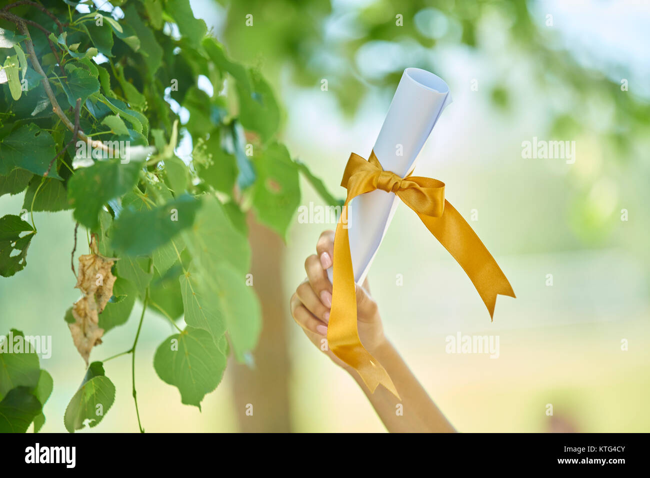 Young student, graduation, celebration Stock Photo - Alamy