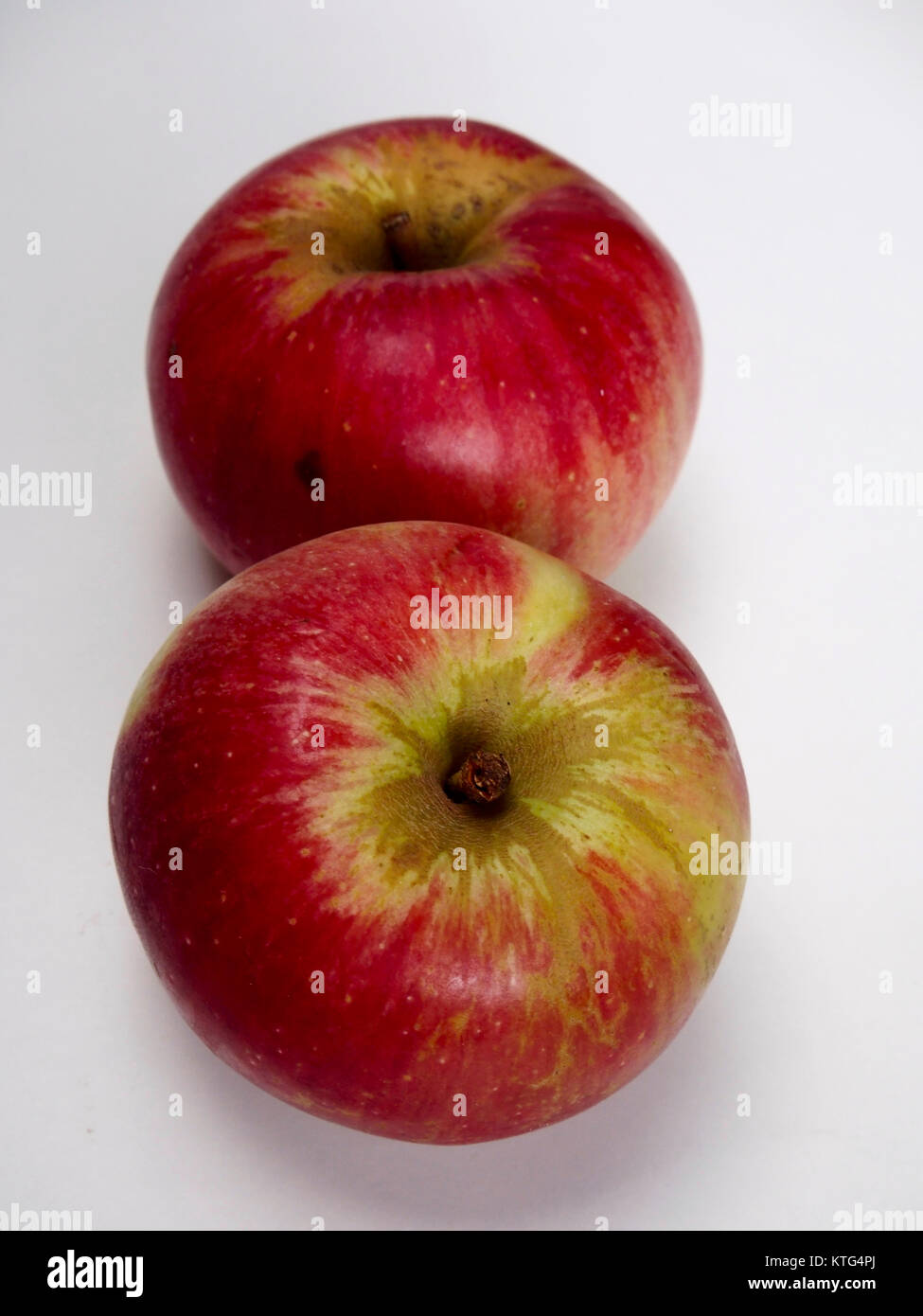 Two isolated akane apple Stock Photo - Alamy