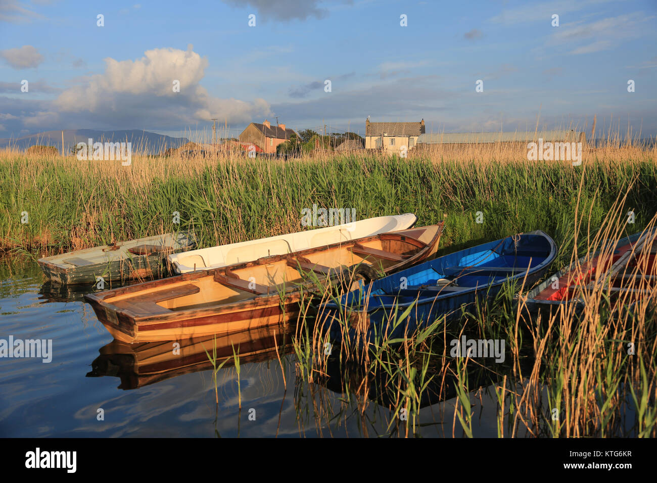 Boat reeds ireland hi-res stock photography and images - Alamy