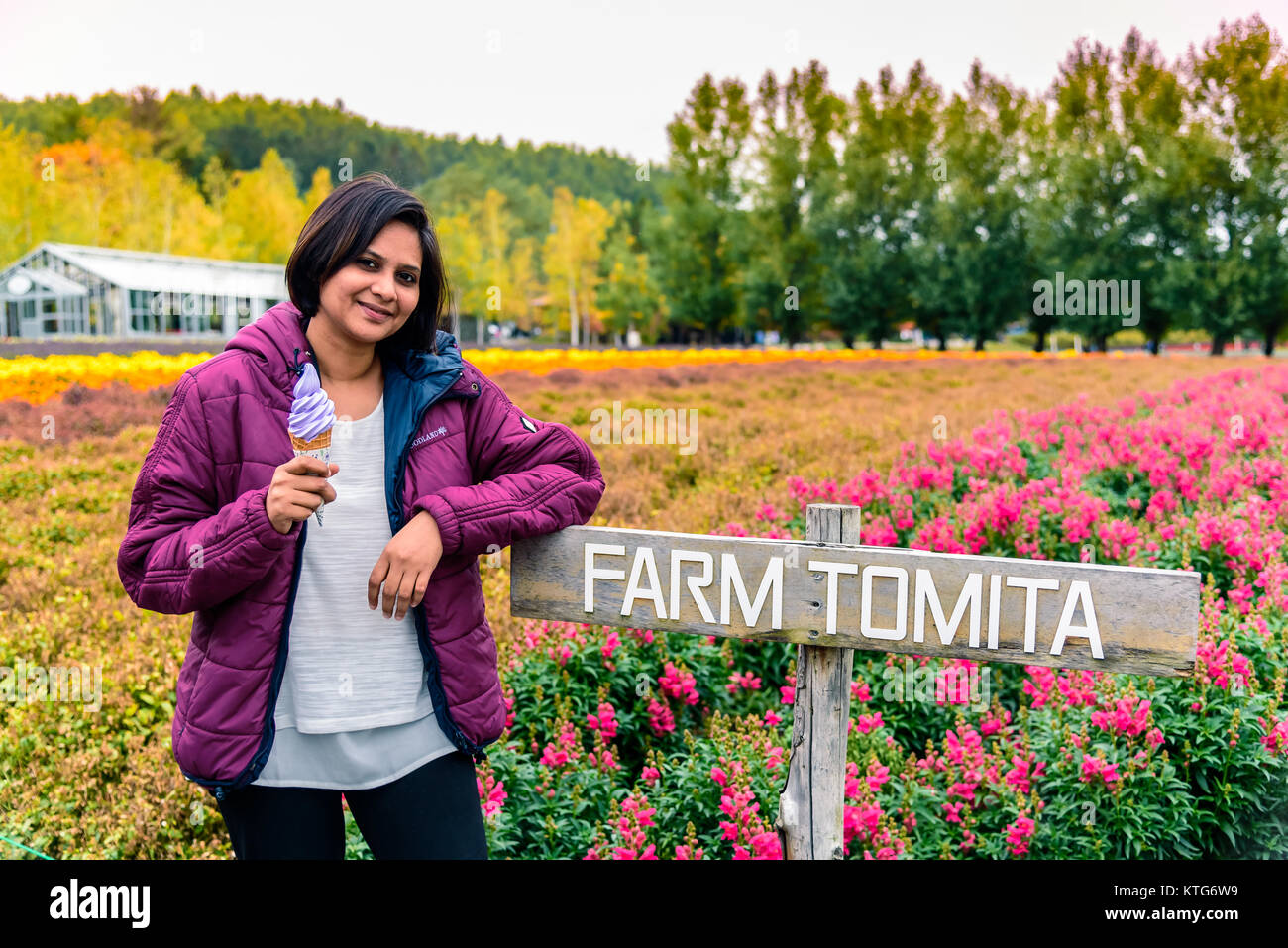 Farm Tomita in Furano, Biei, Hokkaido, Japan Stock Photo - Alamy