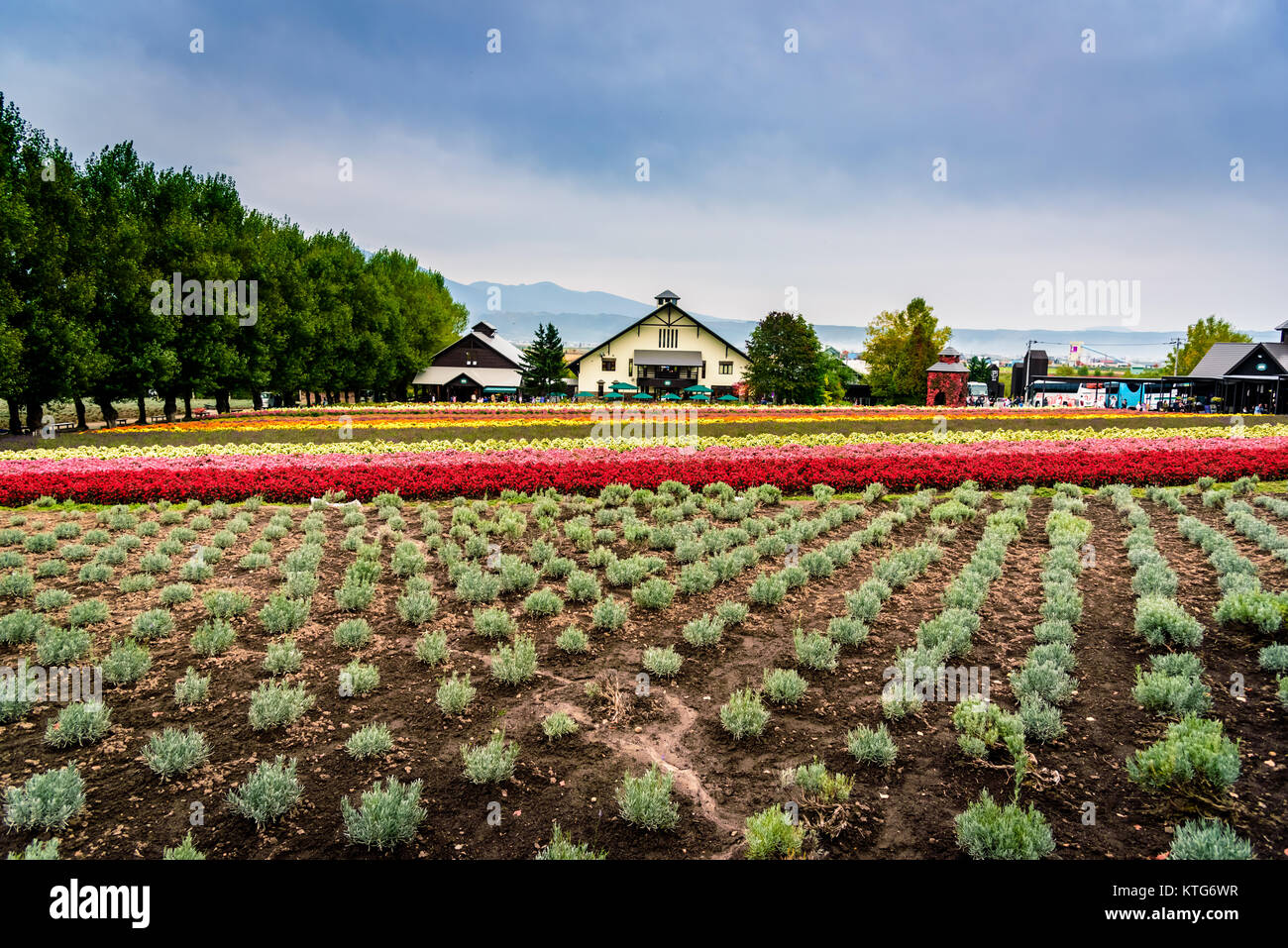 Furano hi-res stock photography and images - Alamy