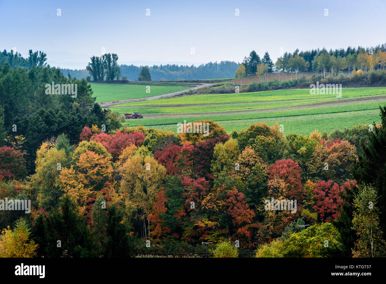 A Farm, Furano, Hokkaido, Japan Stock Photo - Alamy