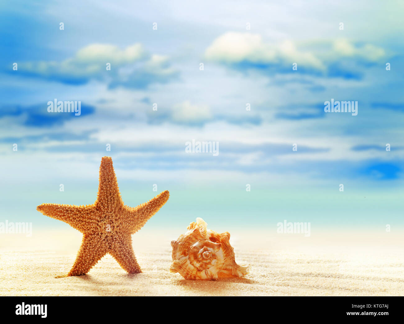 Starfish and seashell on white sand beach with ocean, such a summer ...