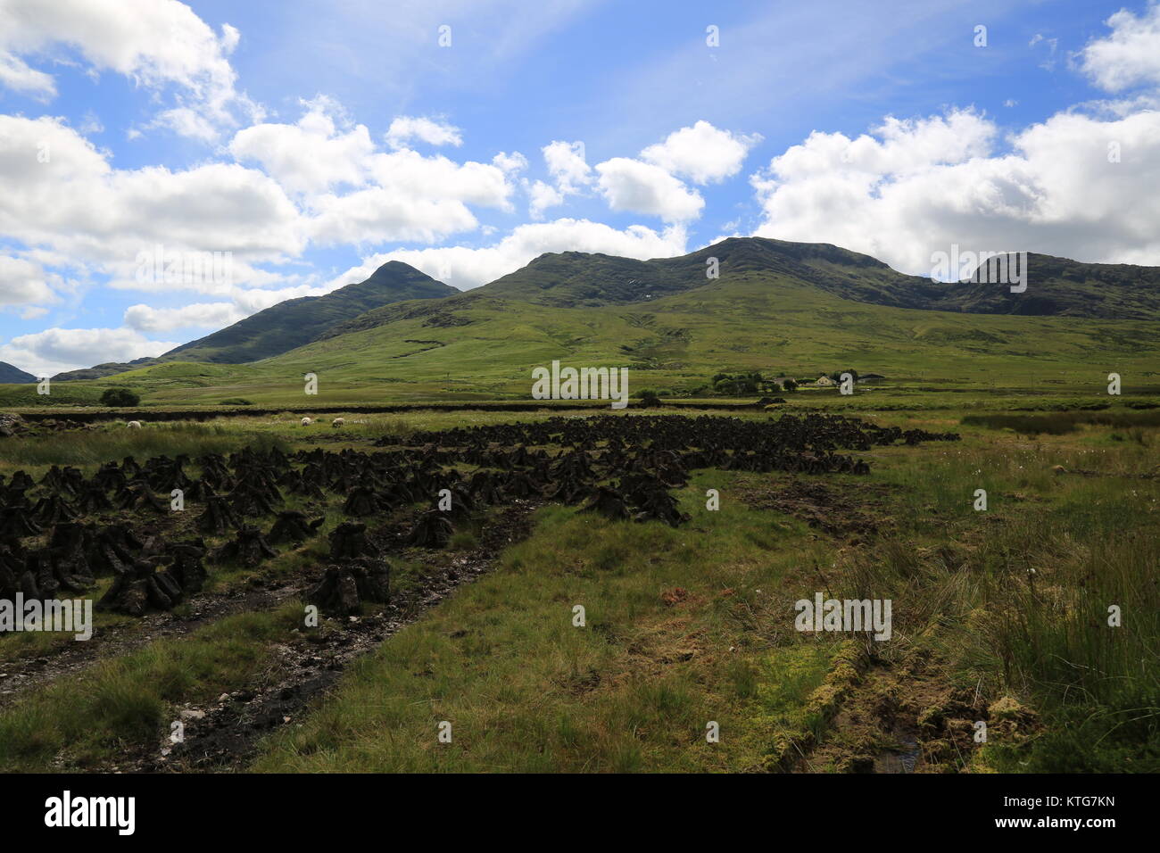 Scenic views of the Irish Landscape with footed turf on a mountain in ...