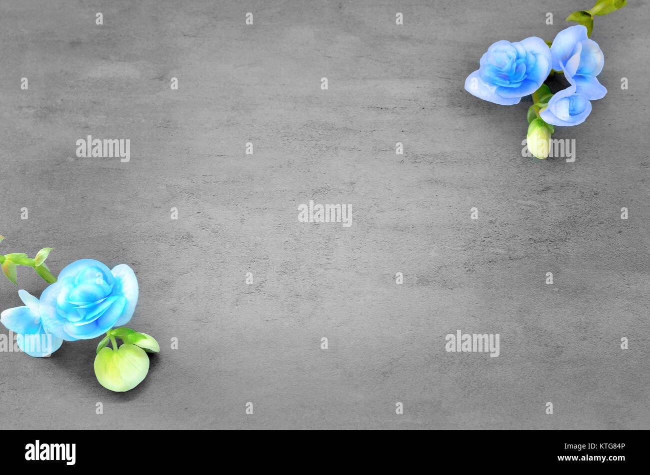Blue flower background hi-res stock photography and images - Alamy