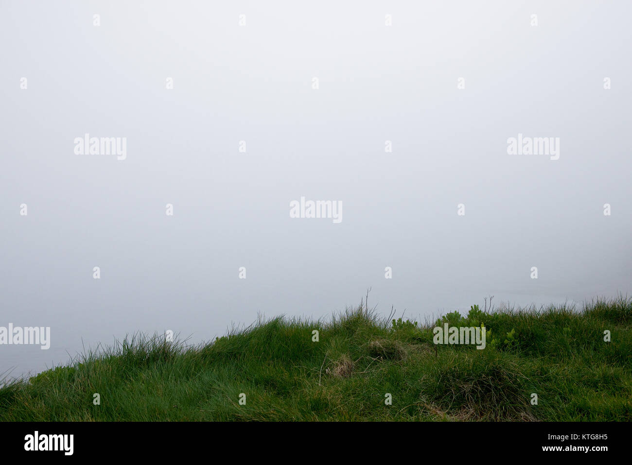 Edge of grass hi-res stock photography and images - Alamy