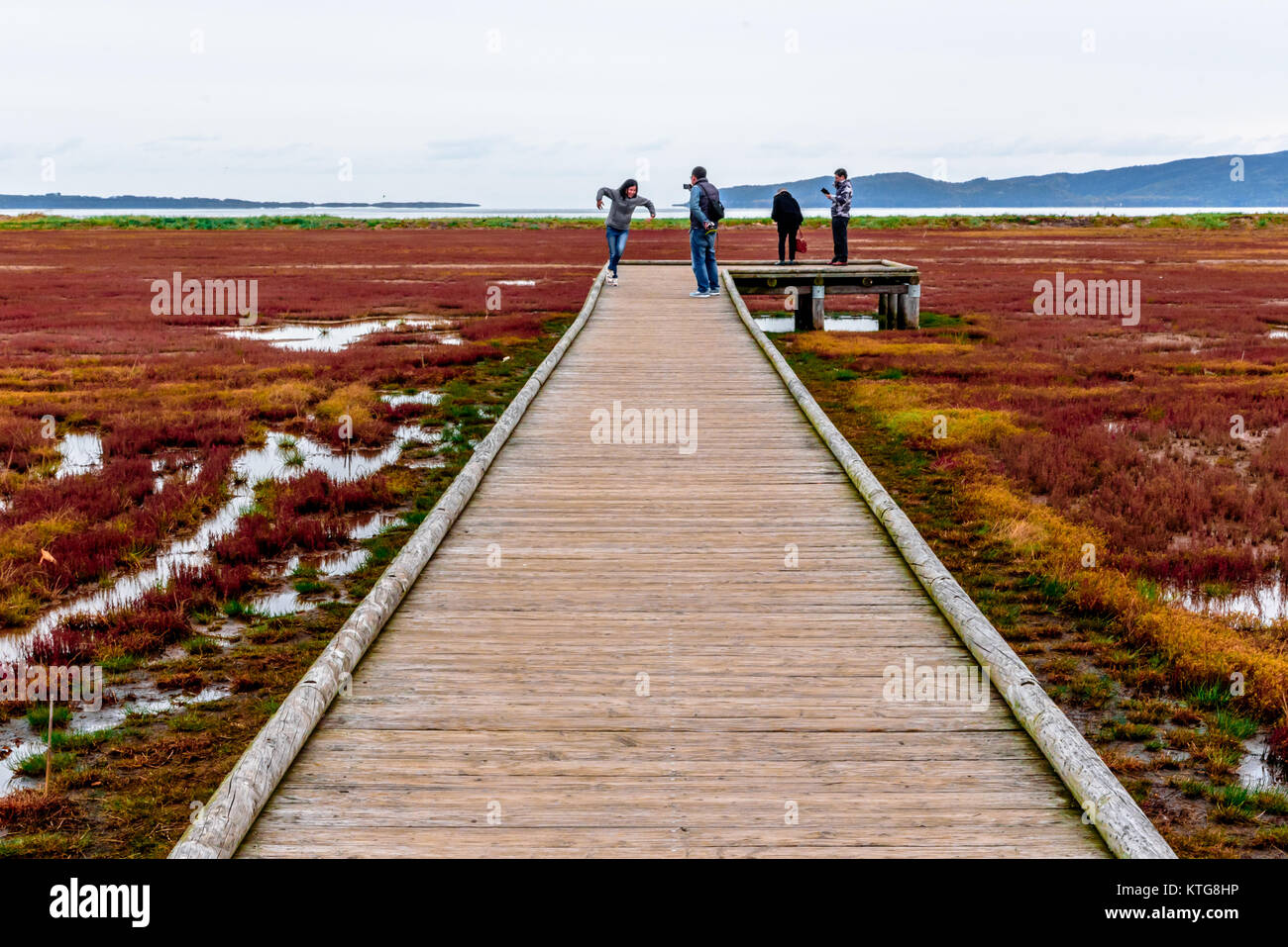 The wooden pathway to view the Pink moss at Lake Notoro, Hokkaido ...