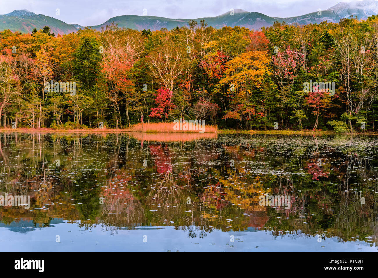 The autumn colors reflected in a lake at Shiretoko, Hokkaido, Japan ...