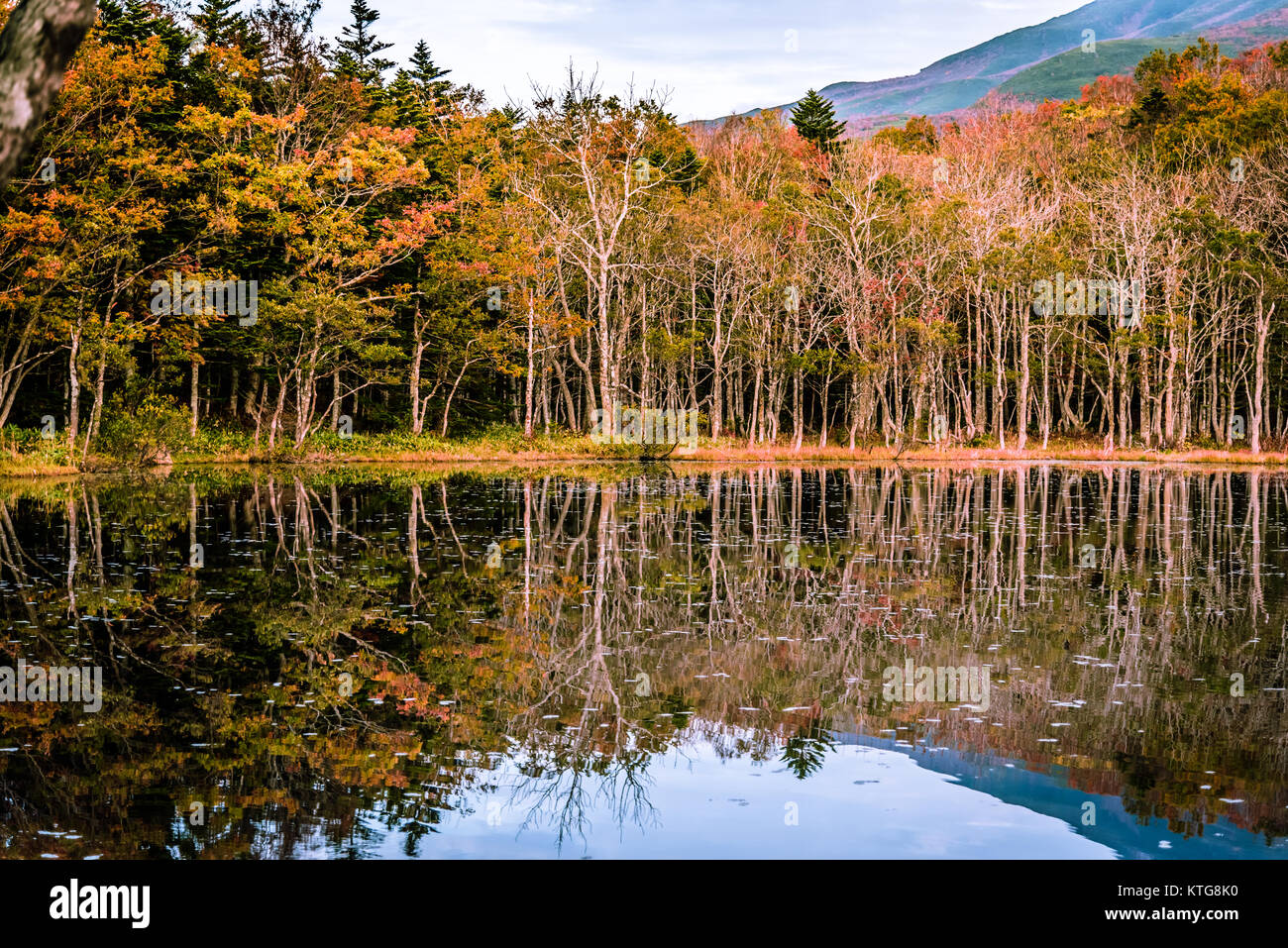 Shiretoko hi-res stock photography and images - Alamy