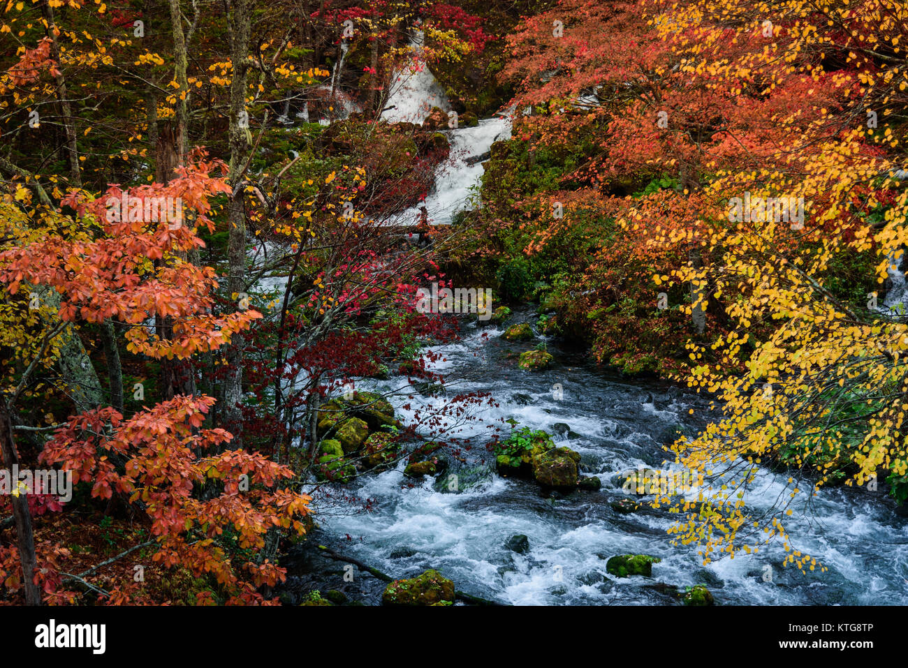Akan river hi-res stock photography and images - Alamy