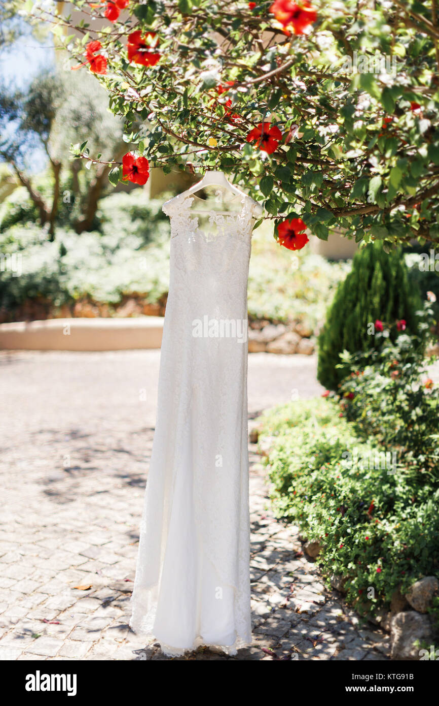 beautiful wedding dress hanging on tree in summer garden, morning ...