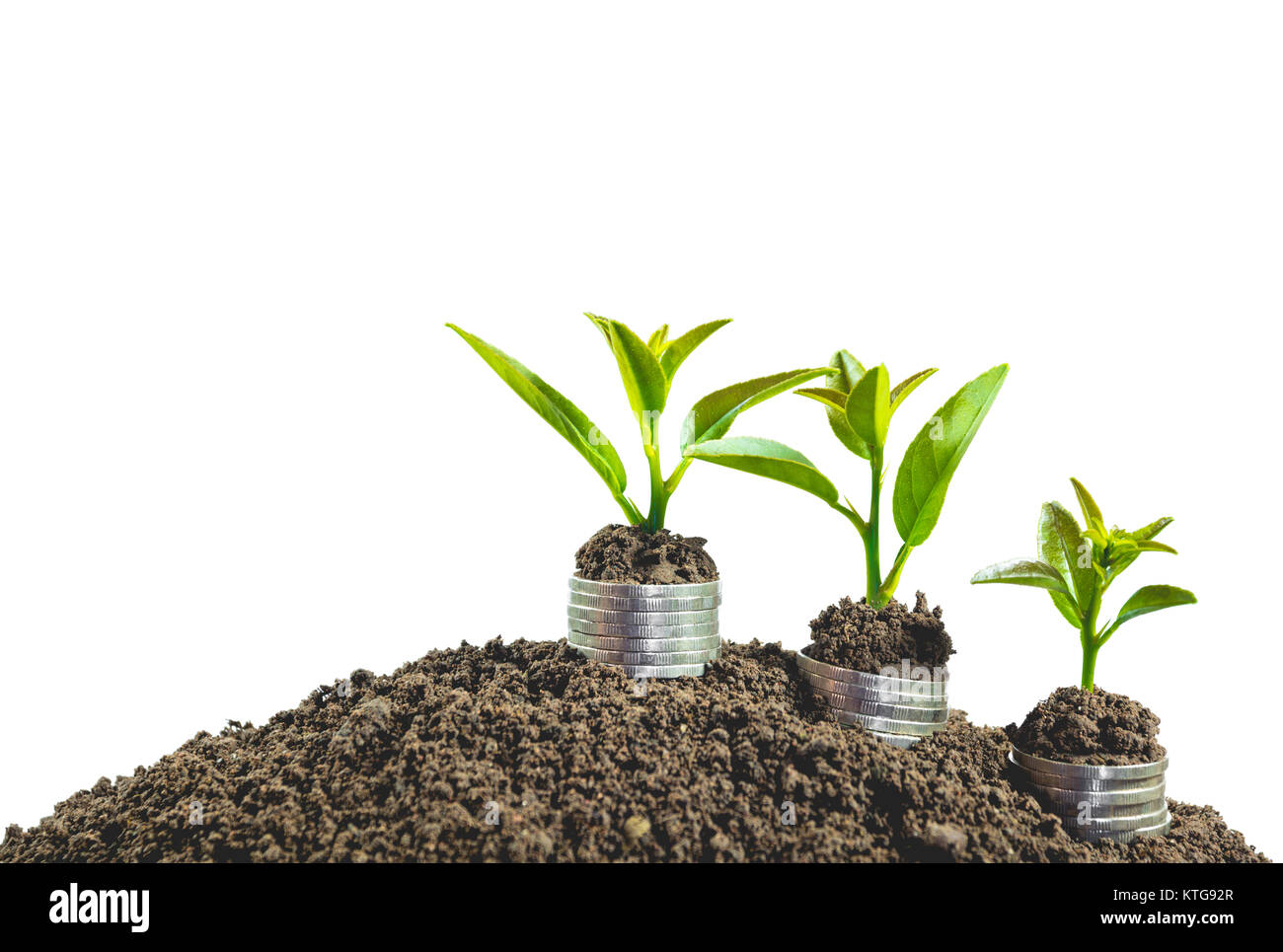 Young green plant with stack coin on ground for growing business ...