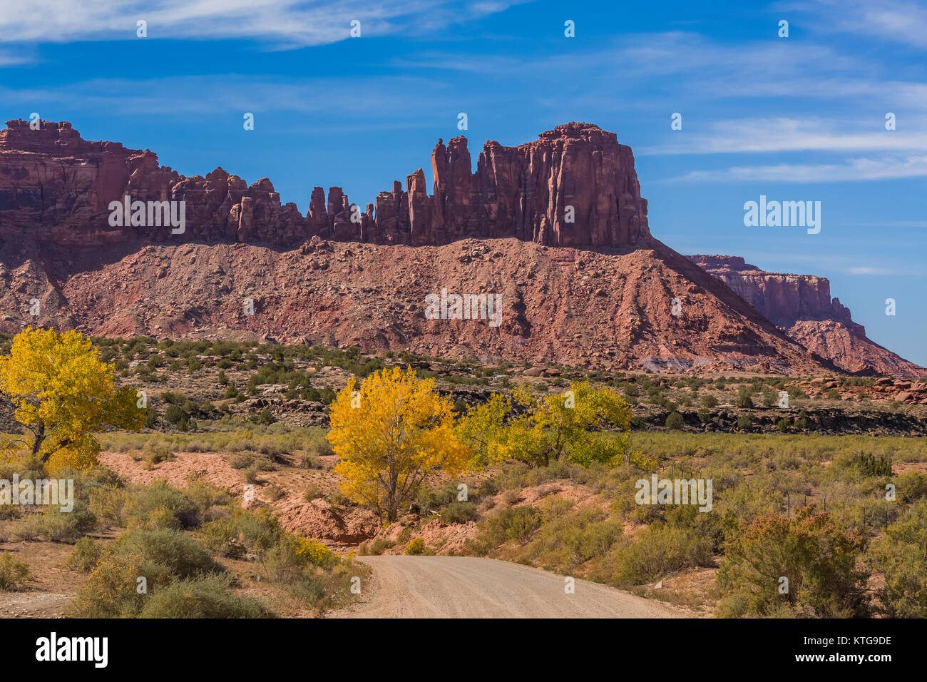 Beef Basin Road running through Beef Basin's autumn Fremont Cottonwoods ...