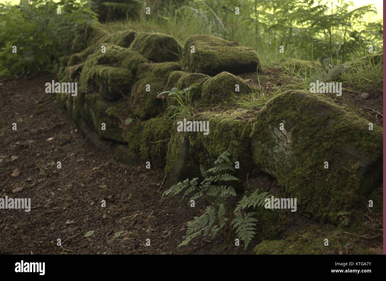 green stones in jungle Stock Photo - Alamy