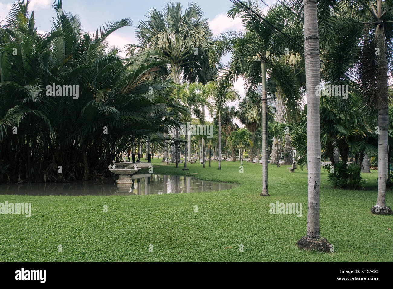 Lumpini park nature hi-res stock photography and images - Alamy