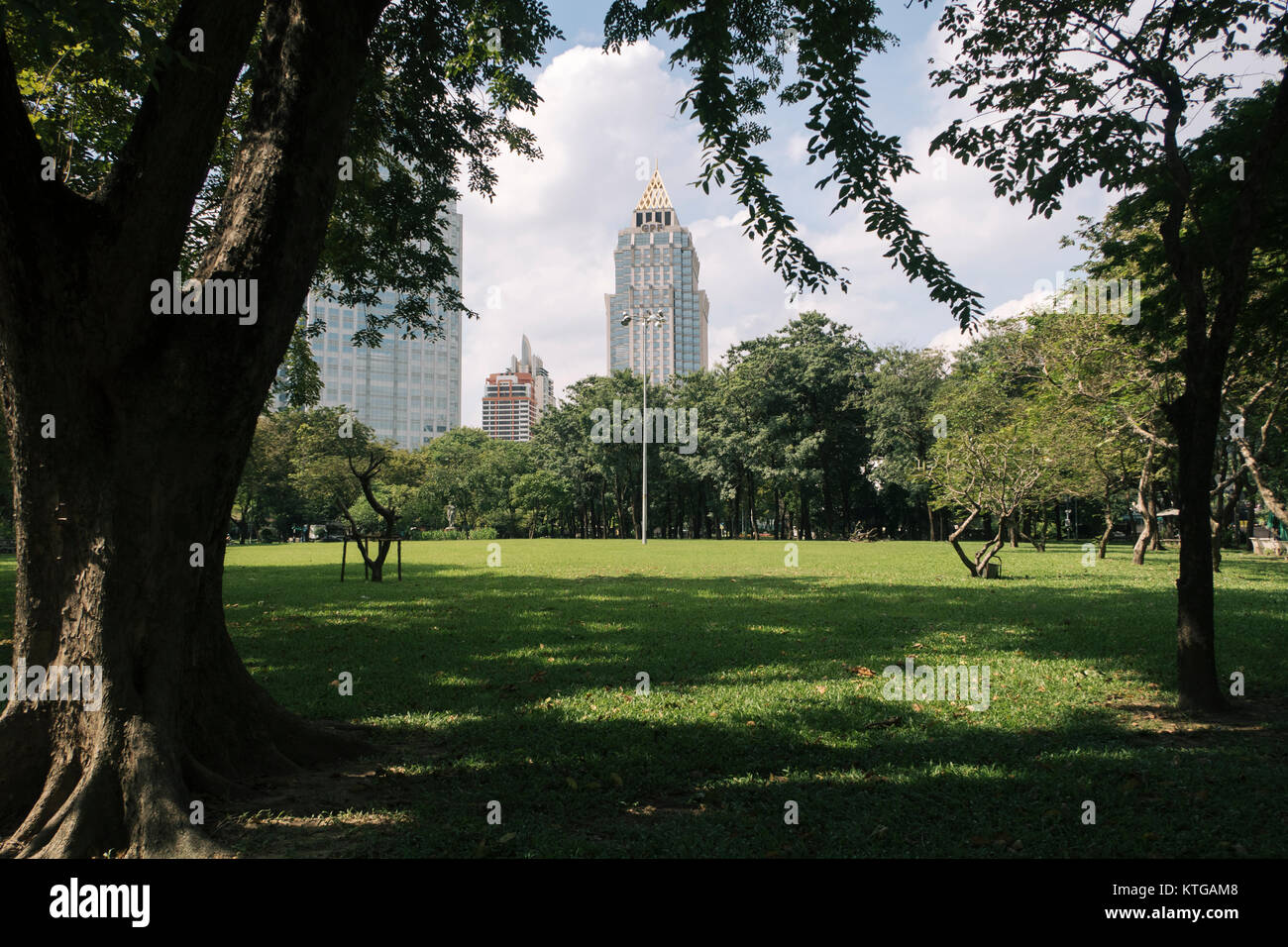 Morning view of Lumpini Park Stock Photo - Alamy