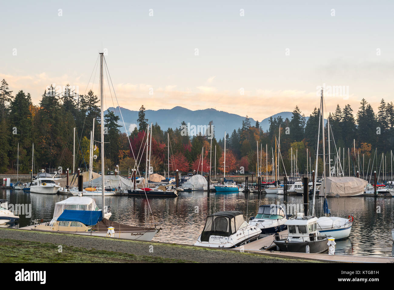 Stanley park fall leaves hi-res stock photography and images - Alamy
