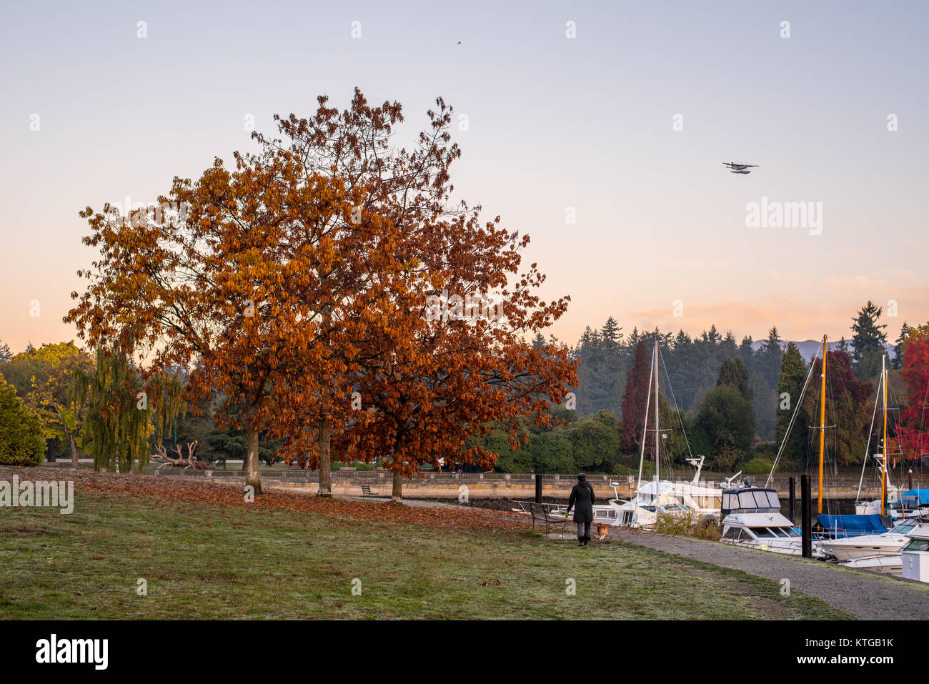Fall in Vancouver Stanley Park Stock Photo - Alamy