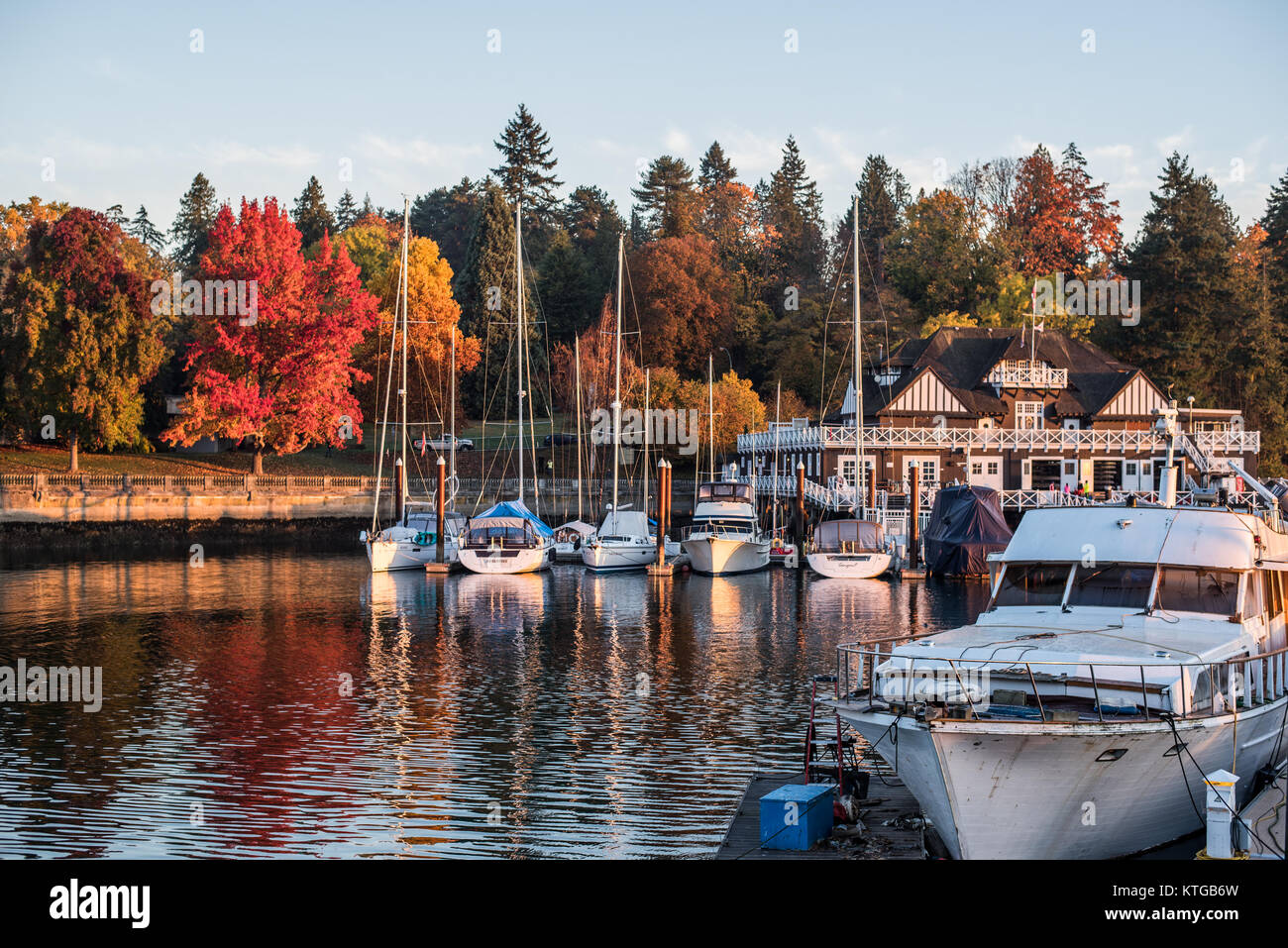 Fall in Vancouver Stanley Park Stock Photo - Alamy