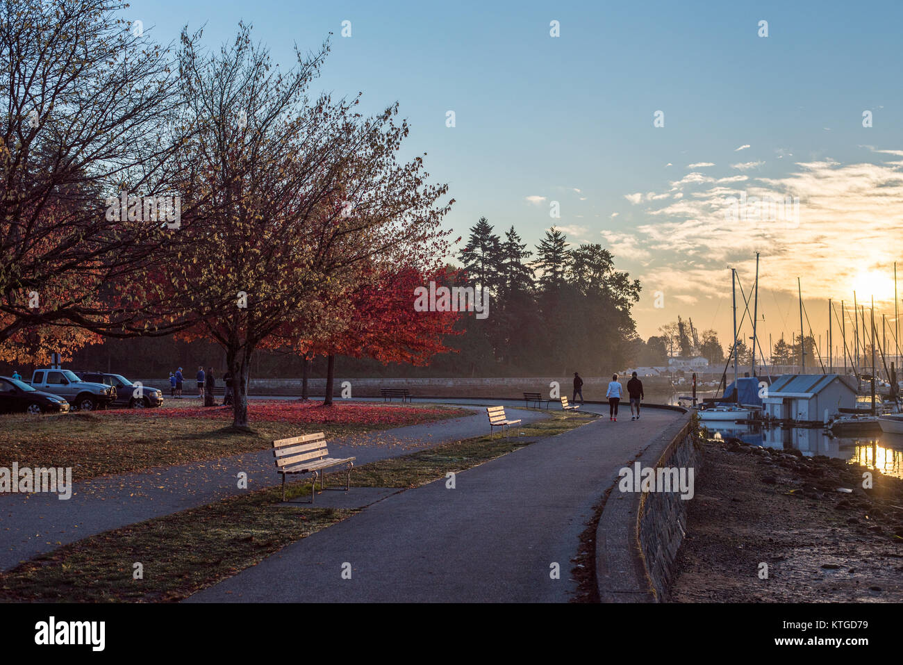 Fall in Vancouver Stanley Park Stock Photo - Alamy