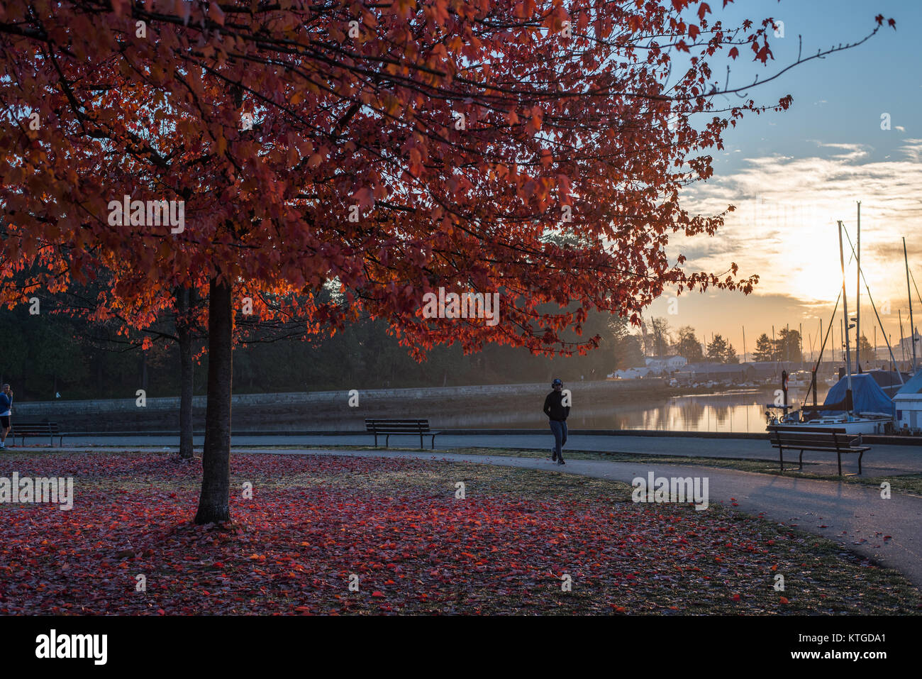 Fall in Vancouver Stanley Park Stock Photo - Alamy