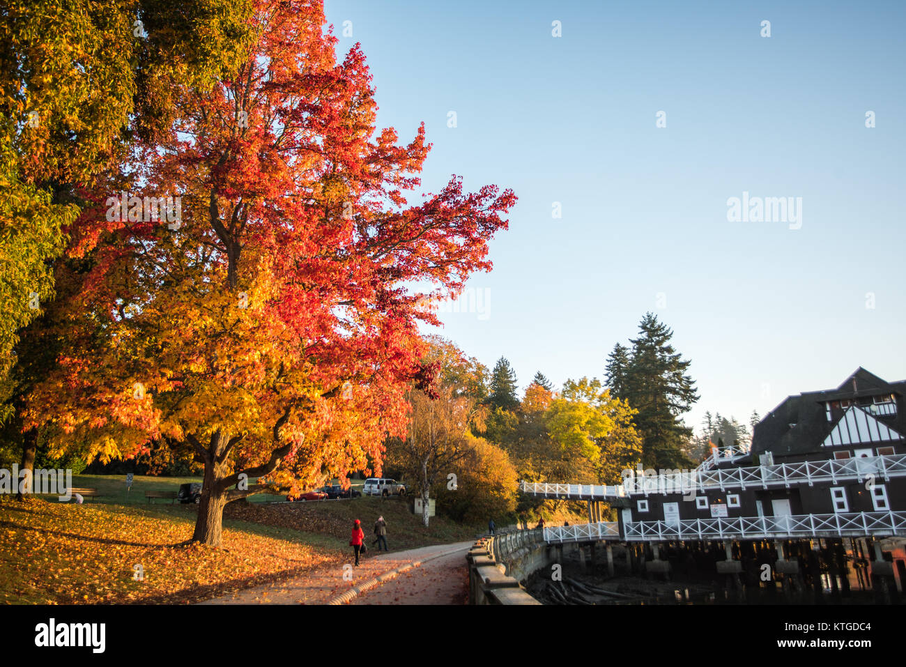 Fall in Vancouver Stanley Park Stock Photo - Alamy